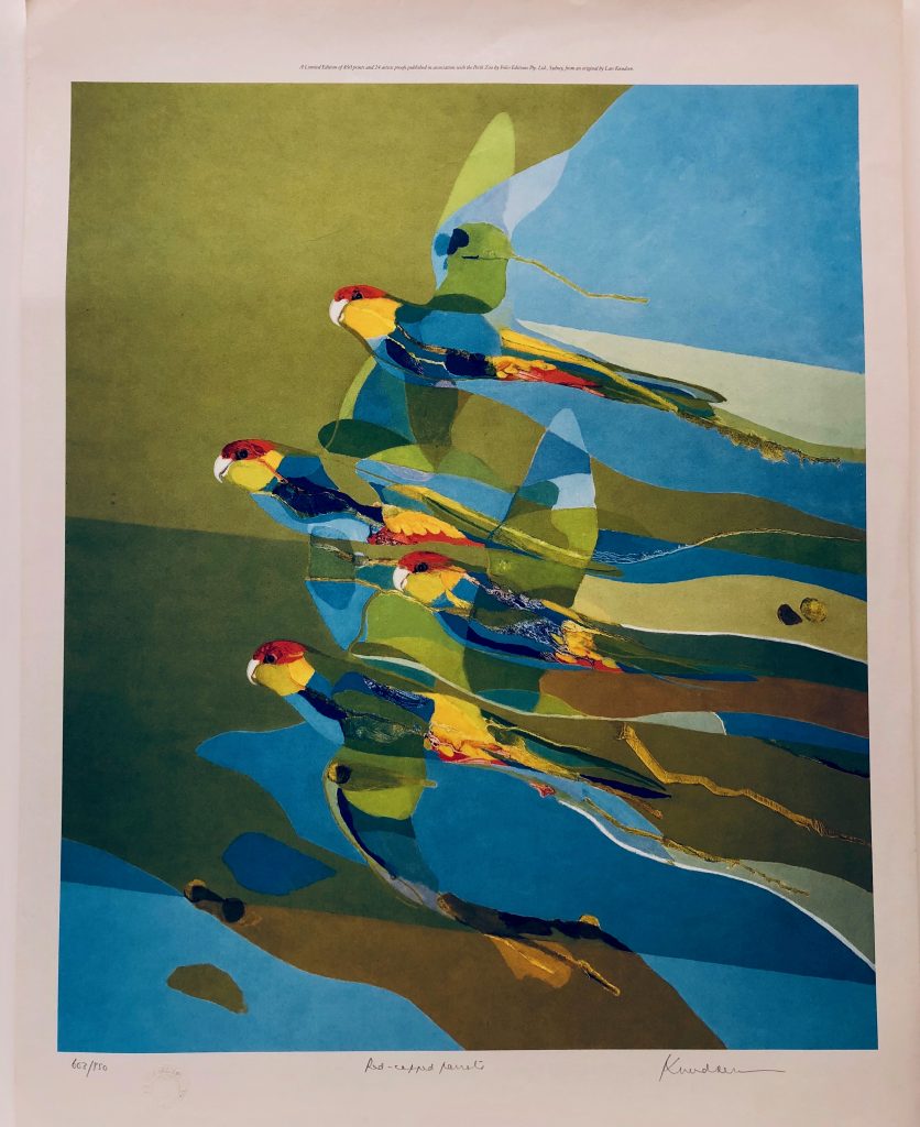 Lars Knudsen - Australian Bird Prints - Artemis Framing & Art Gallery