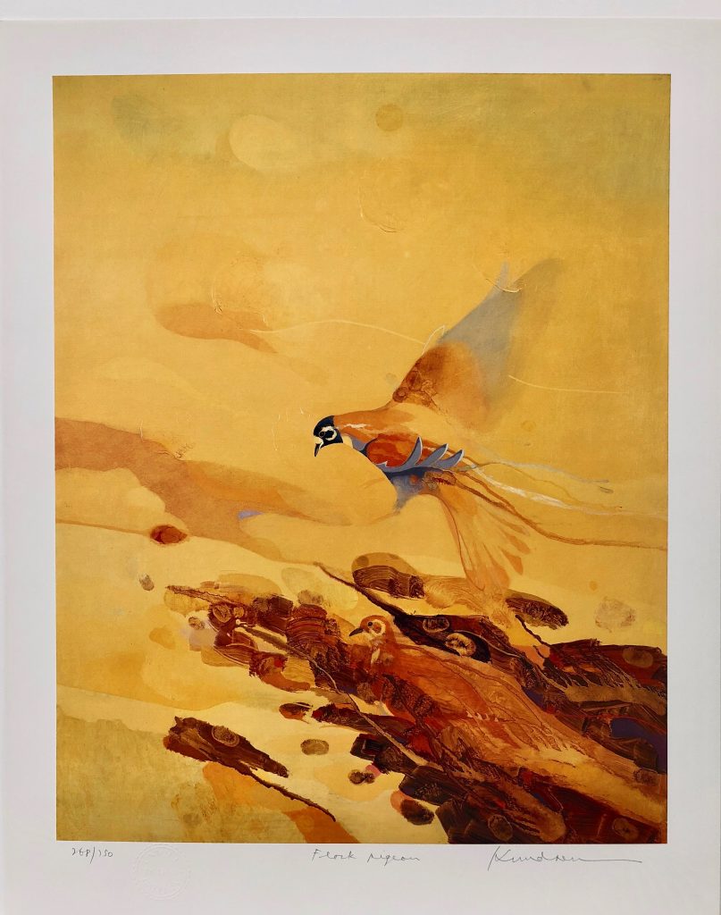 Lars Knudsen - Australian Bird Prints - Artemis Framing & Art Gallery