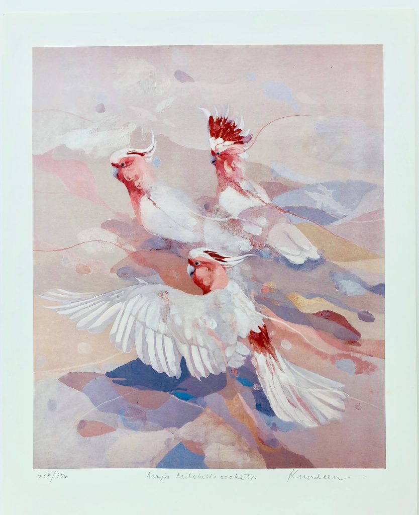 Lars Knudsen - Australian Bird Prints - Artemis Framing & Art Gallery