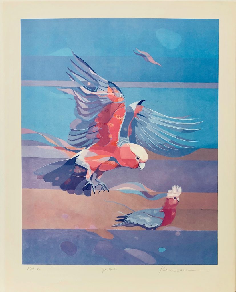 Lars Knudsen - Australian Bird Prints - Artemis Framing & Art Gallery