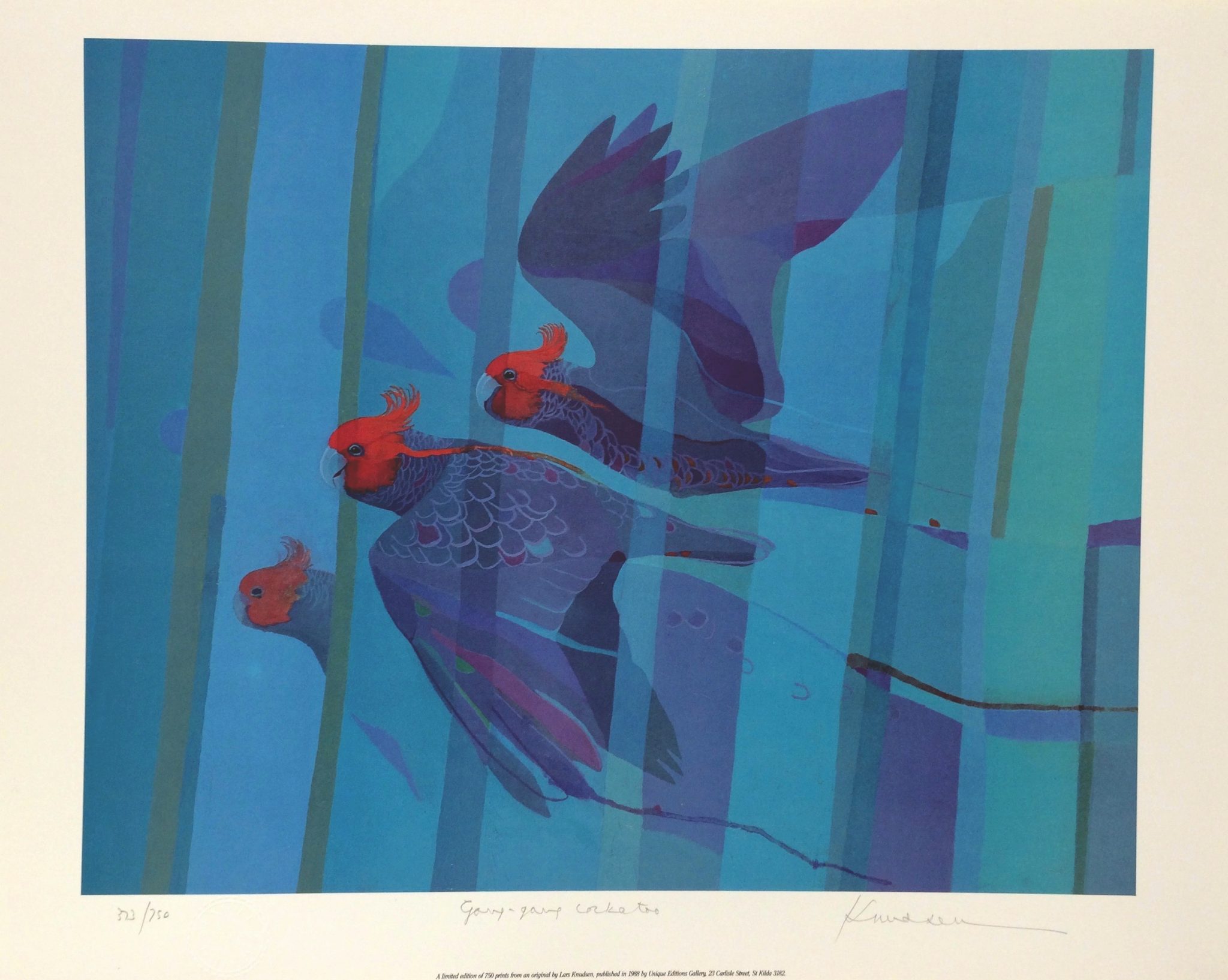 Lars Knudsen - Australian Bird Prints - Artemis Framing & Art Gallery