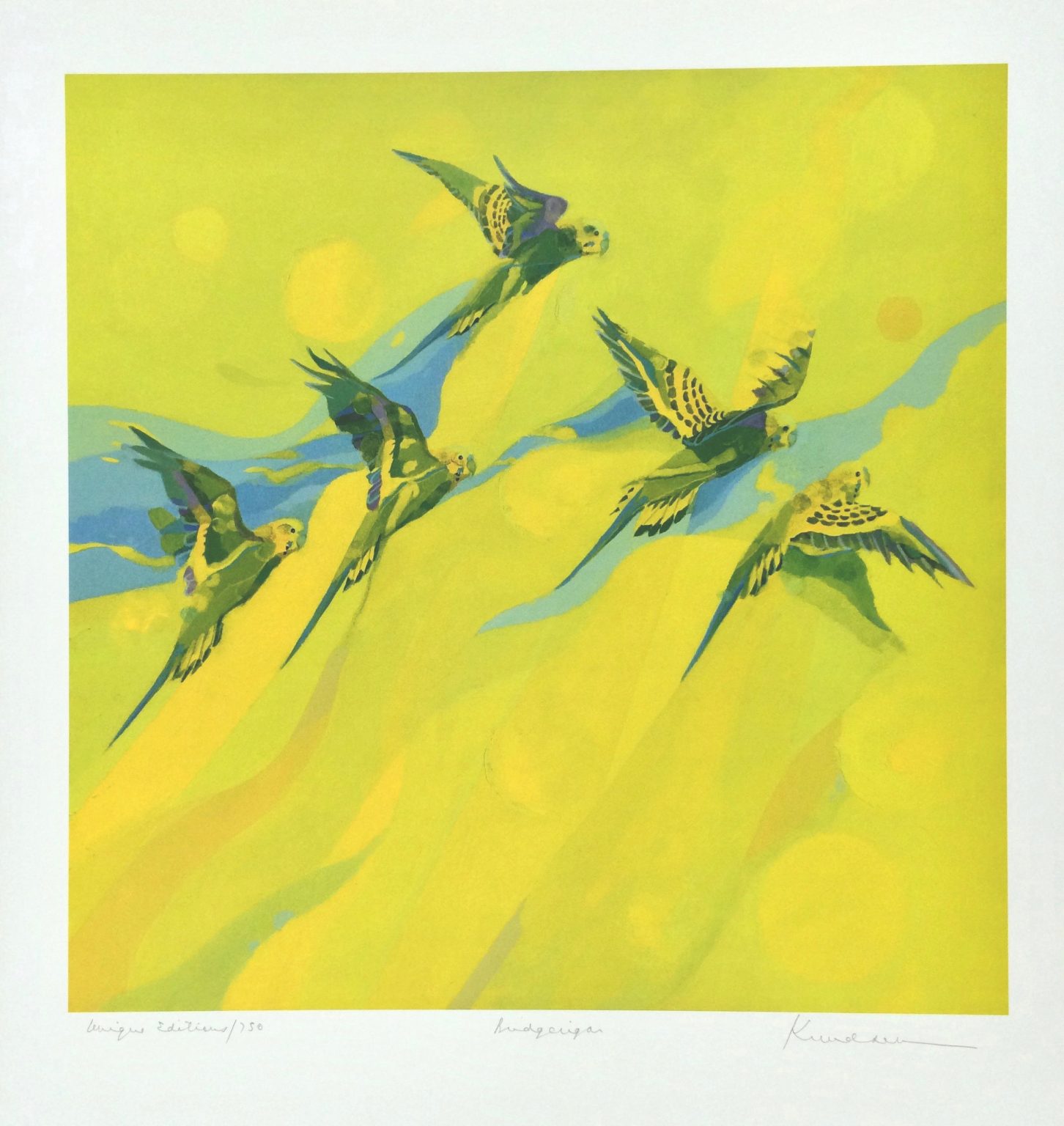 Lars Knudsen - Australian Bird Prints - Artemis Framing & Art Gallery
