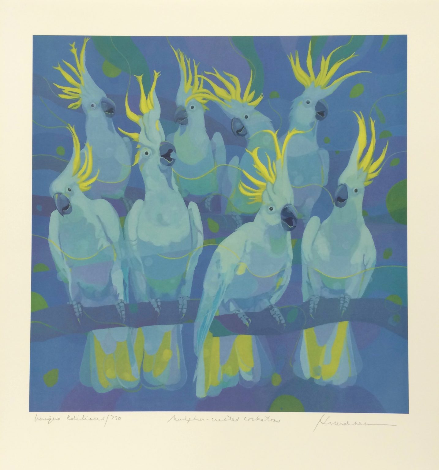 Lars Knudsen - Australian Bird Prints - Page 2 of 2 - Artemis Framing ...