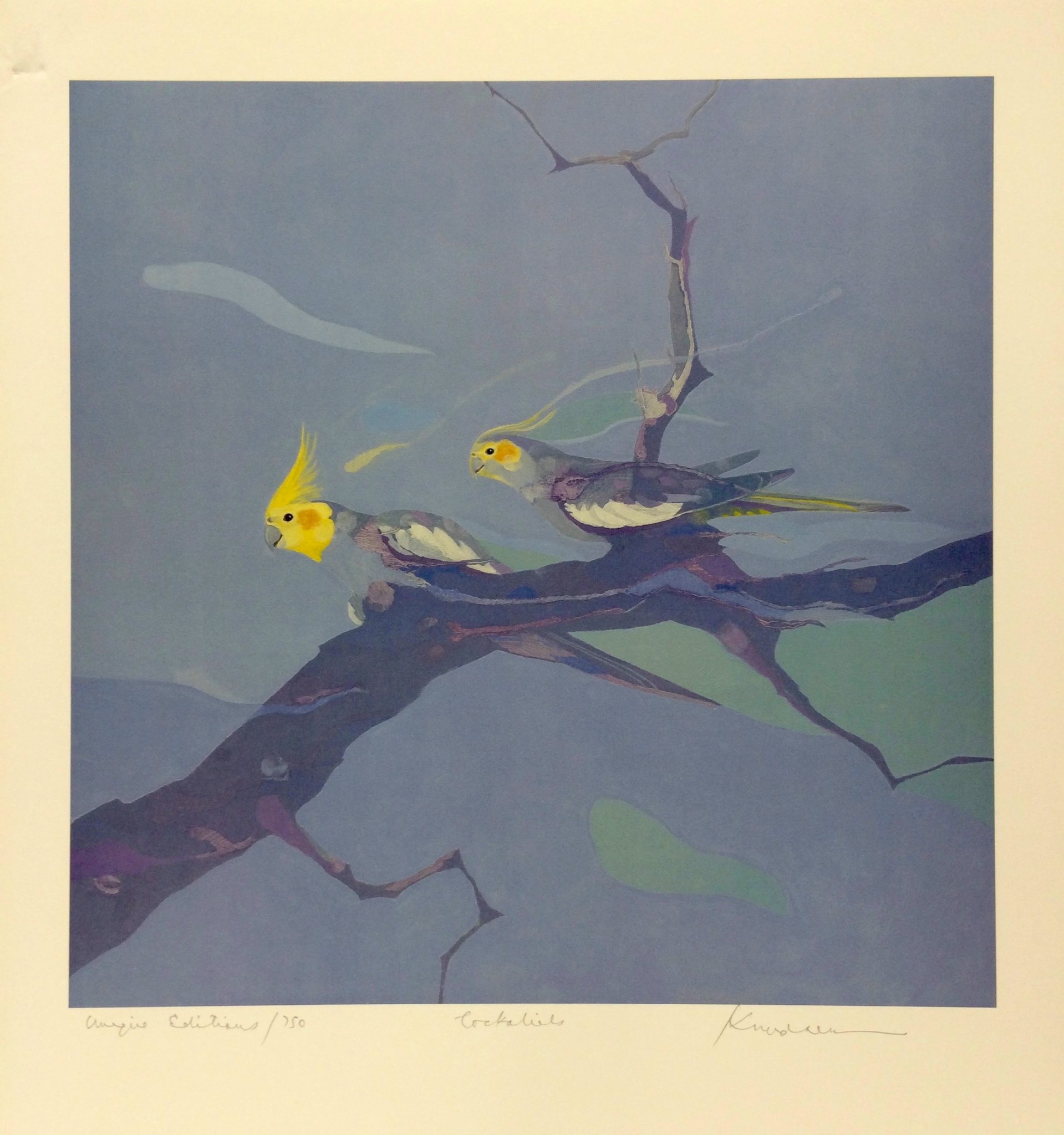 Lars Knudsen - Australian Bird Prints - Artemis Framing & Art Gallery