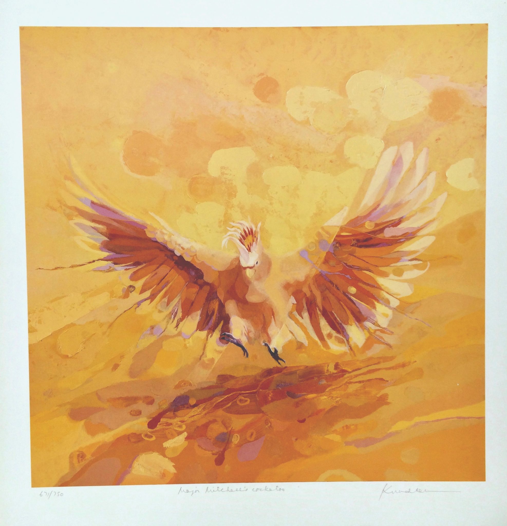 Lars Knudsen - Australian Bird Prints - Artemis Framing & Art Gallery