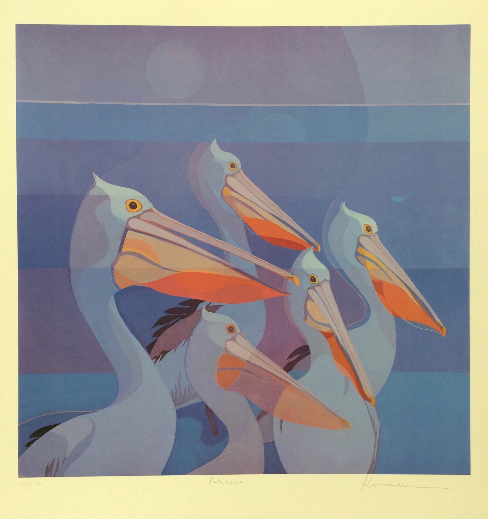 Lars Knudsen - Australian Bird Prints - Artemis Framing & Art Gallery